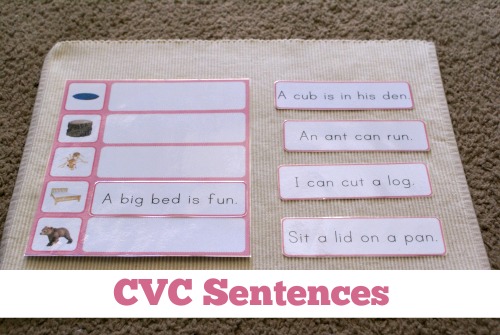 The Montessori Pink Series (Updated)